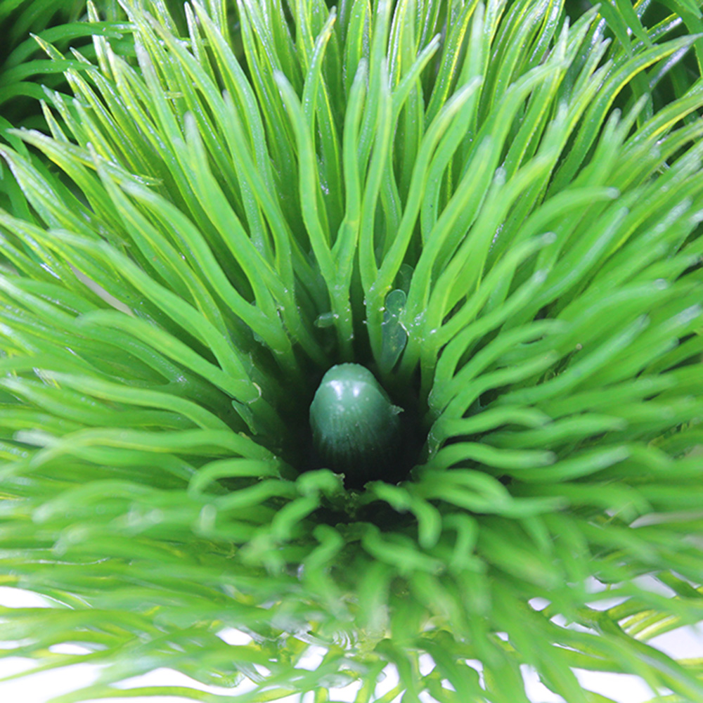Penn-Plax eOrder | Cascade™ Baby Hideout Breeding Grass