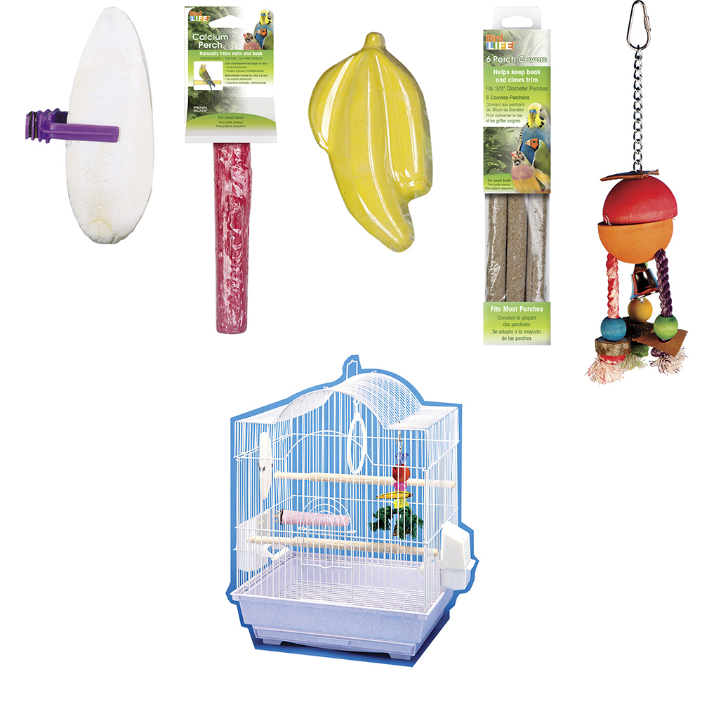 Penn-Plax eOrder | Bird Life™ Parakeet - Small Bird Starter Kit