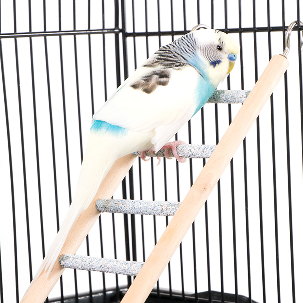 Penn-Plax eOrder | Bird Life™ Trimmer Plus™ 9-Step Ladder