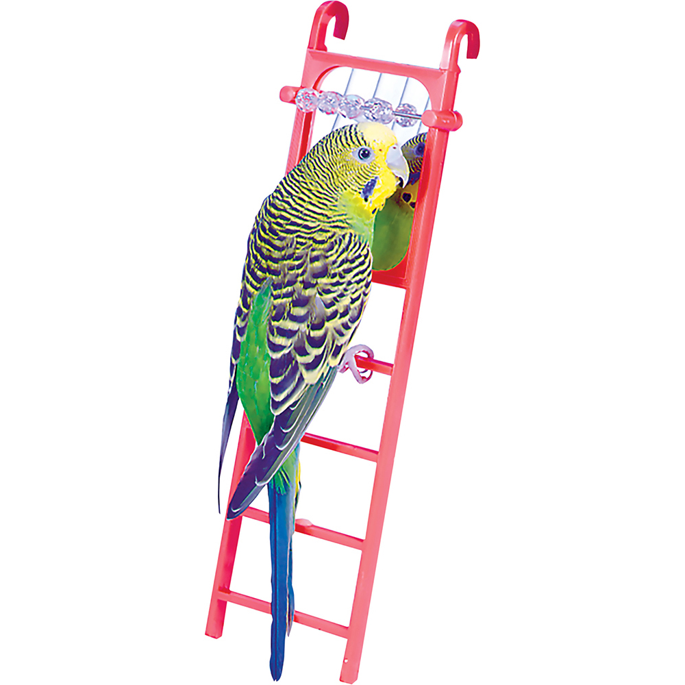 Penn-Plax eOrder | Bird Life™ 4-Step Ladder with Mirror and Beads