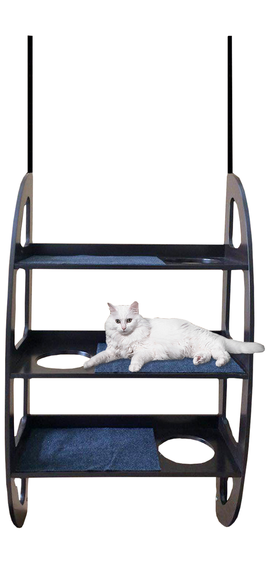 Penn-Plax eOrder | Cat Life™ 2-in-1 Jungle Gym Cat Walk