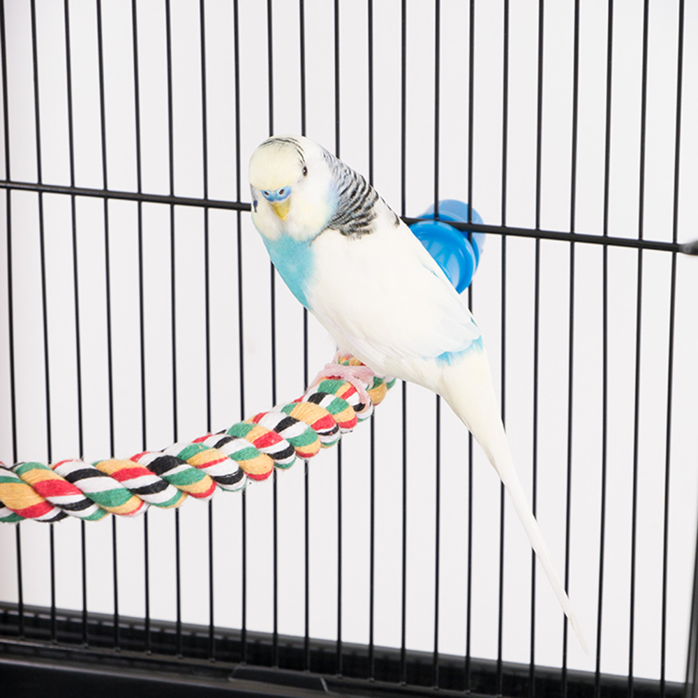 Penn-Plax eOrder | Bird Life™ Rope Perch - Small/Medium