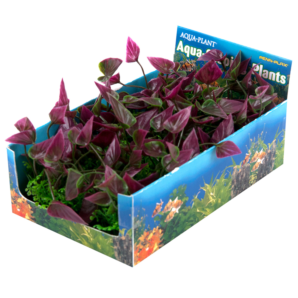 Penn-Plax eOrder | Tide & Treasure™ Aquascaping Plants - 5-Piece PDQ ...