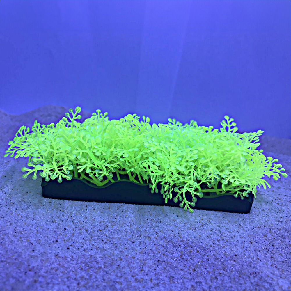 Penn-Plax eOrder | Tide & Treasure™ Glow Plants - 5-Piece PDQ - Green ...