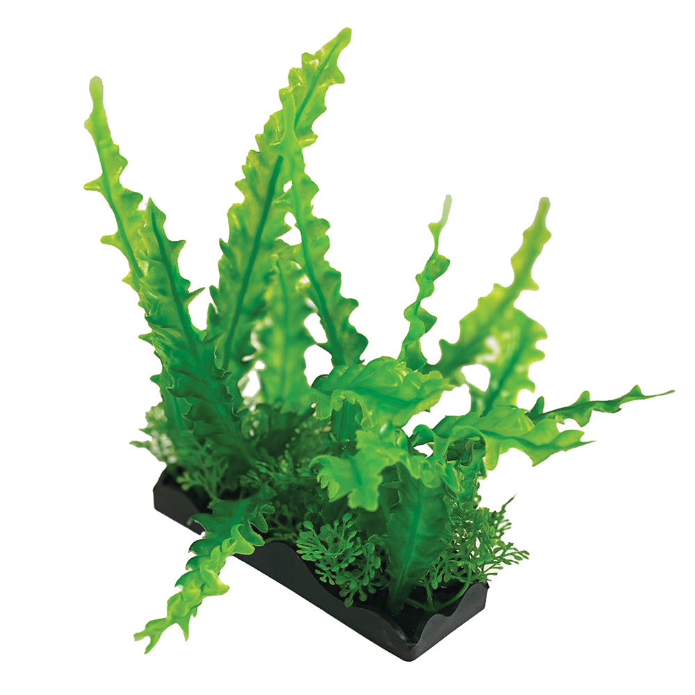 Penn-Plax eOrder | Tide & Treasure™ Aqua-Plant Wavy Edge - Green - Large