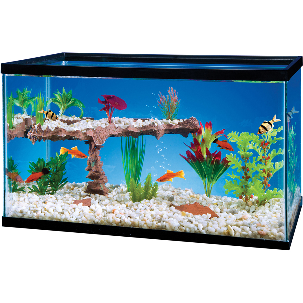 Penn-Plax eOrder | shorefins™ Tank Terrace Aquarium Shelf System ...
