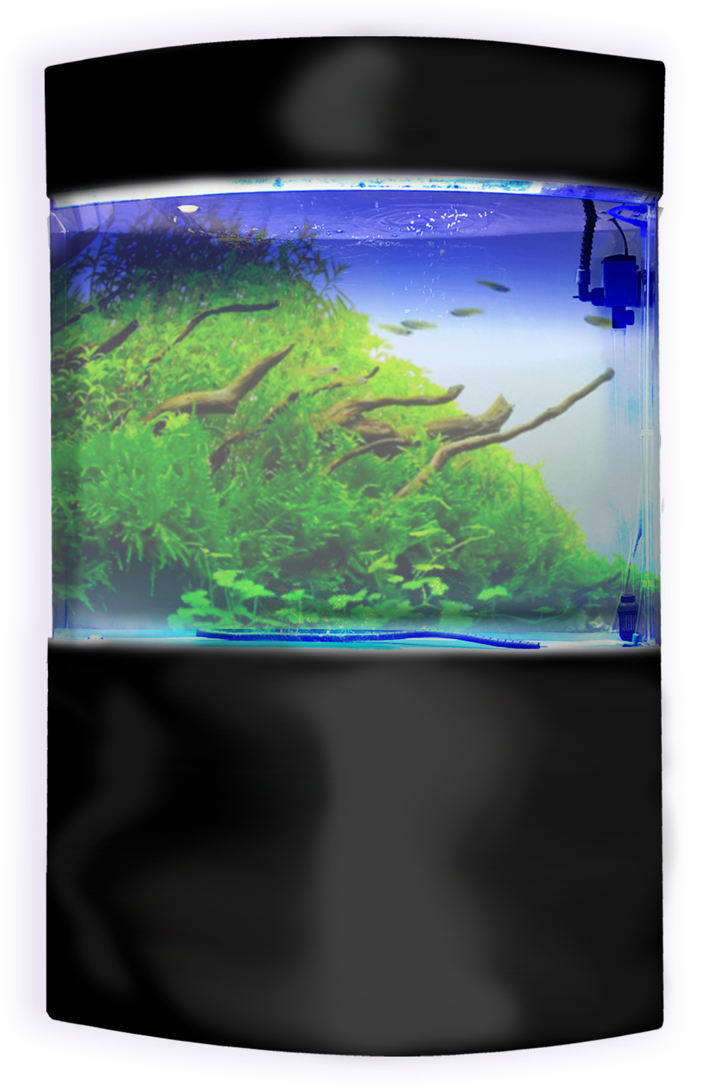 Penn-Plax eOrder | Cascade™ Bowfront Tank with Stand & Hood - 58 Gallons