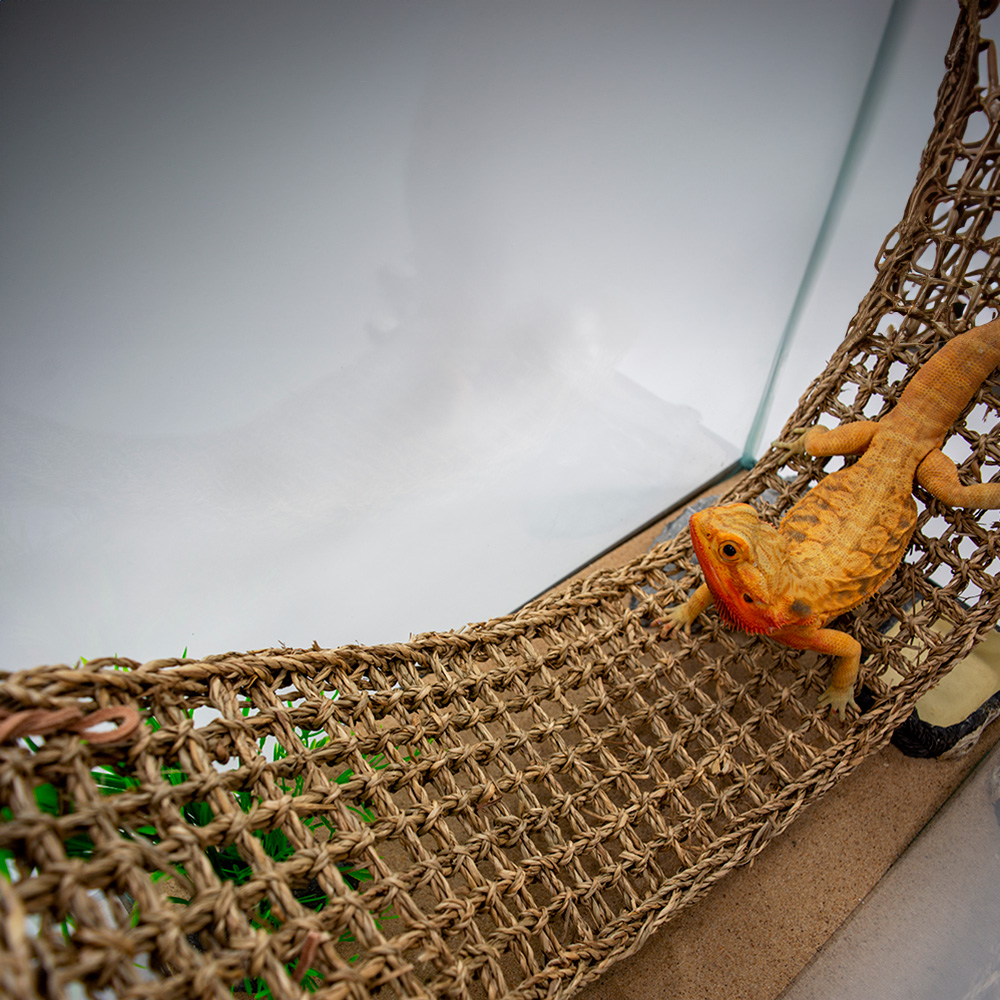 Penn-Plax eOrder | Reptology™ Lizard-Lounger™ - Extra Large