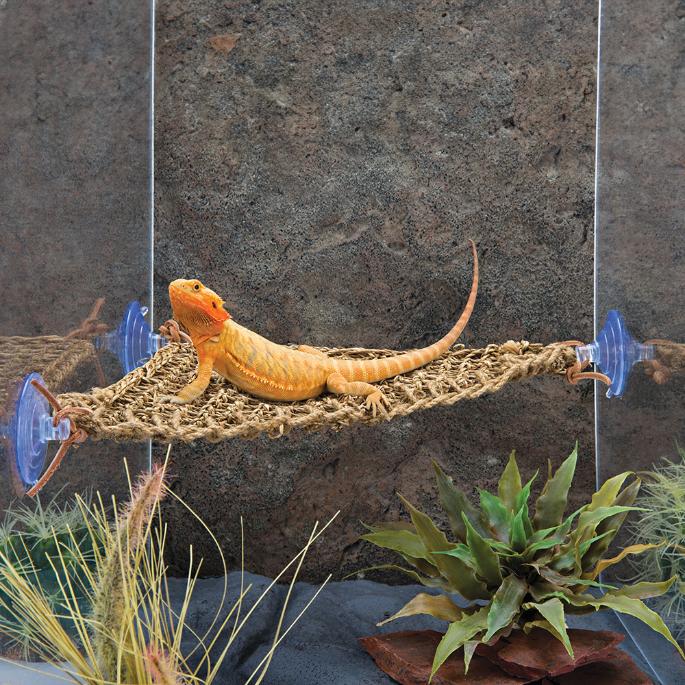 Penn-Plax eOrder | Reptology™ Lizard-Lounger™ - Small
