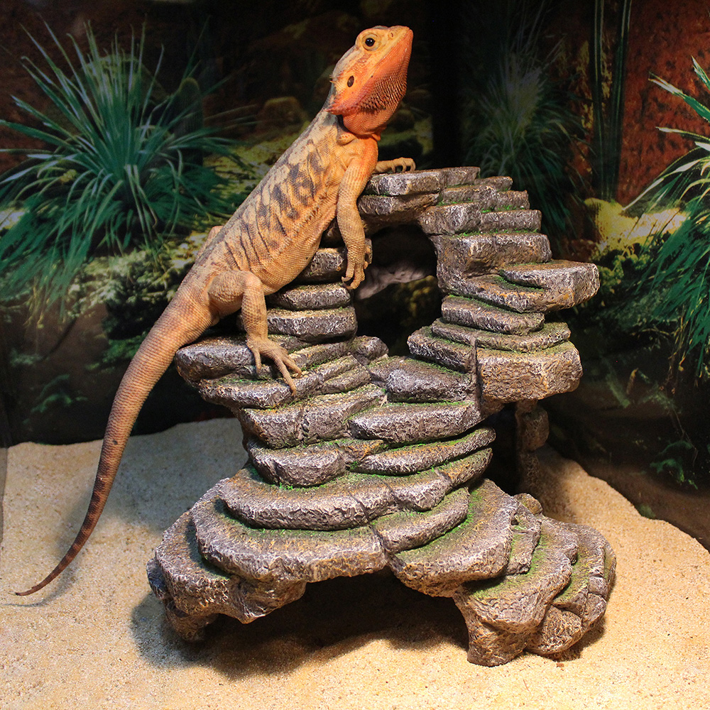 Penn-Plax eOrder | Reptology™ Shale Scapes Ledge & Cave Hideout - Extra ...