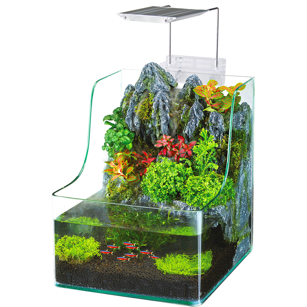 Penn-Plax eOrder | Cascade™ Desktop Aquaterrium Planting Tank - 5.5 Gallons