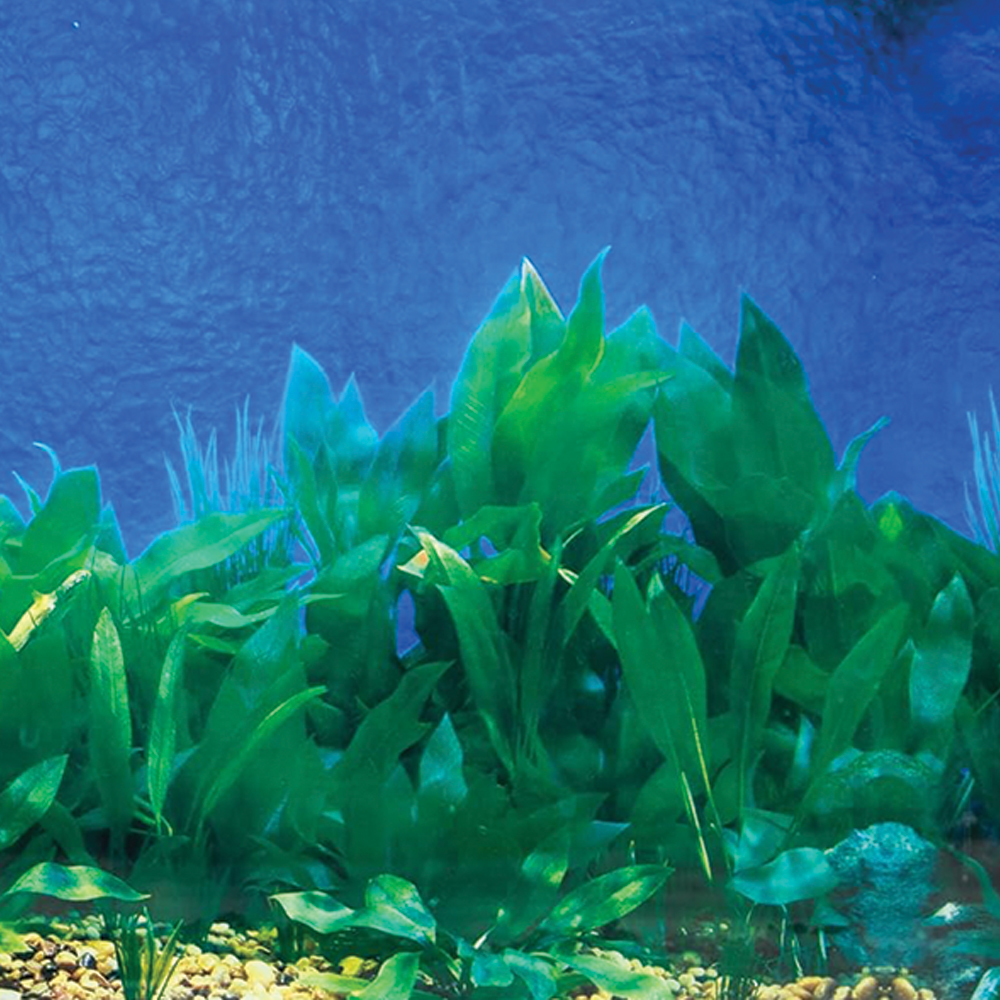 Penn-Plax eOrder | Tide & Treasure™ Double-Back™ Pre-Cut Background ...