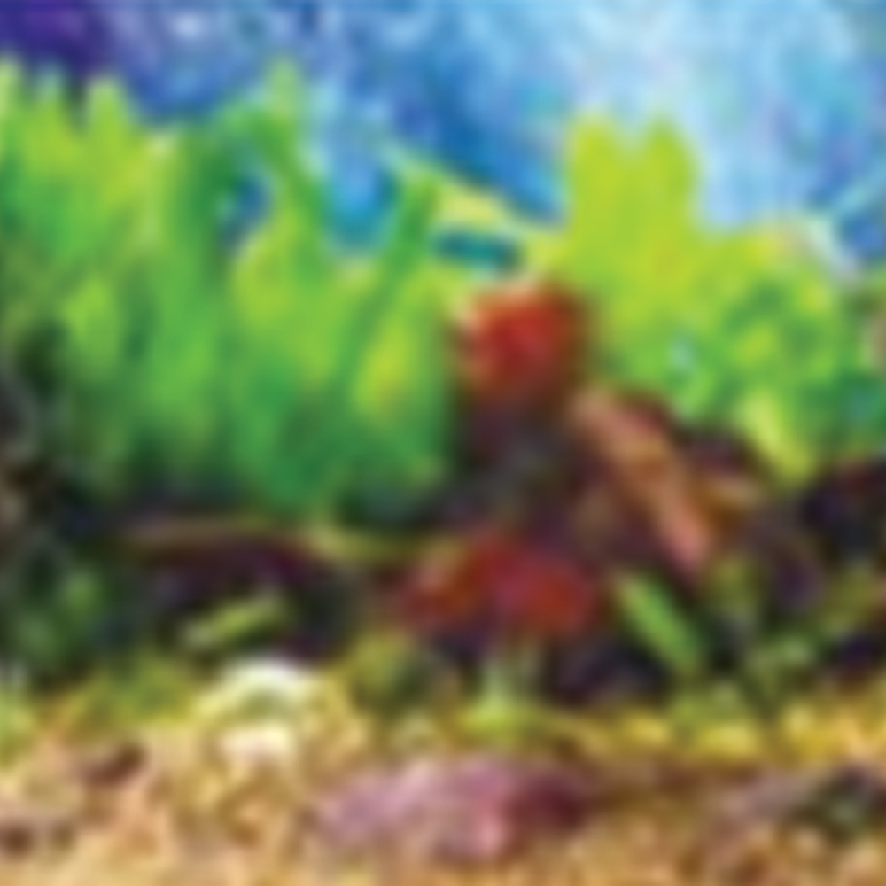Penn-Plax eOrder | Tide & Treasure™ Double-Back™ Pre-Cut Background ...