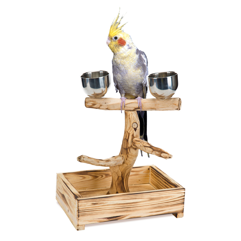 Penn-Plax eOrder | Bird Life™ Natural Wood Tree Perch for Small ...